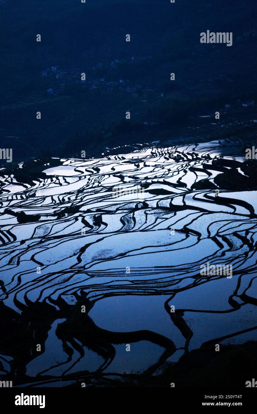 Amazing rice terraces just before sunrise Stock Photo - Alamy