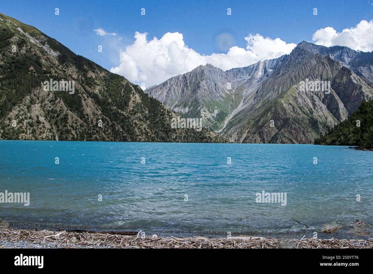 Shey Phoksundo Lake, located in the Ringmo Village is a stunning alpine freshwater lake renowned ...
