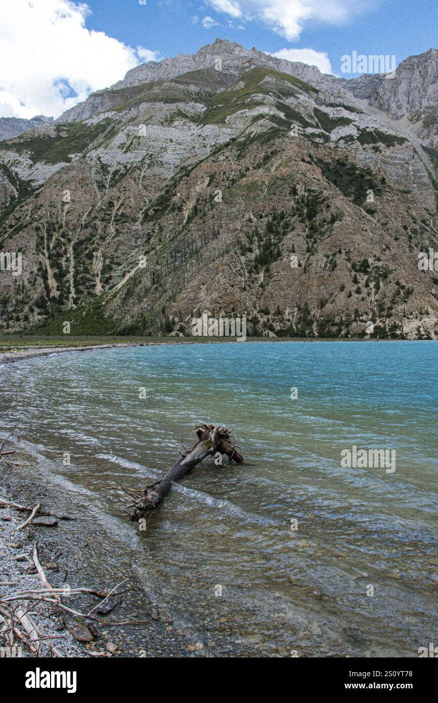 Shey Phoksundo Lake, located in the Ringmo Village is a stunning alpine ...