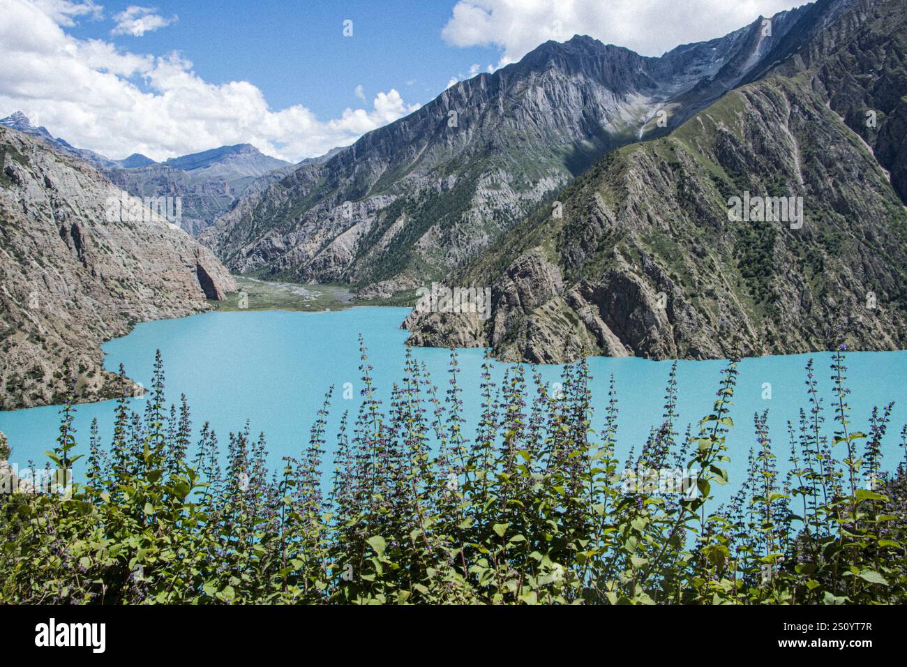 Shey Phoksundo Lake, located in the Ringmo Village is a stunning alpine ...
