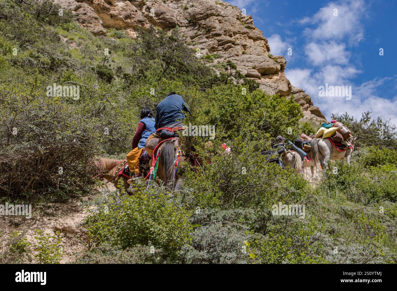 Dolpa people ride horses through a rugged terrain to go to the Shey ...