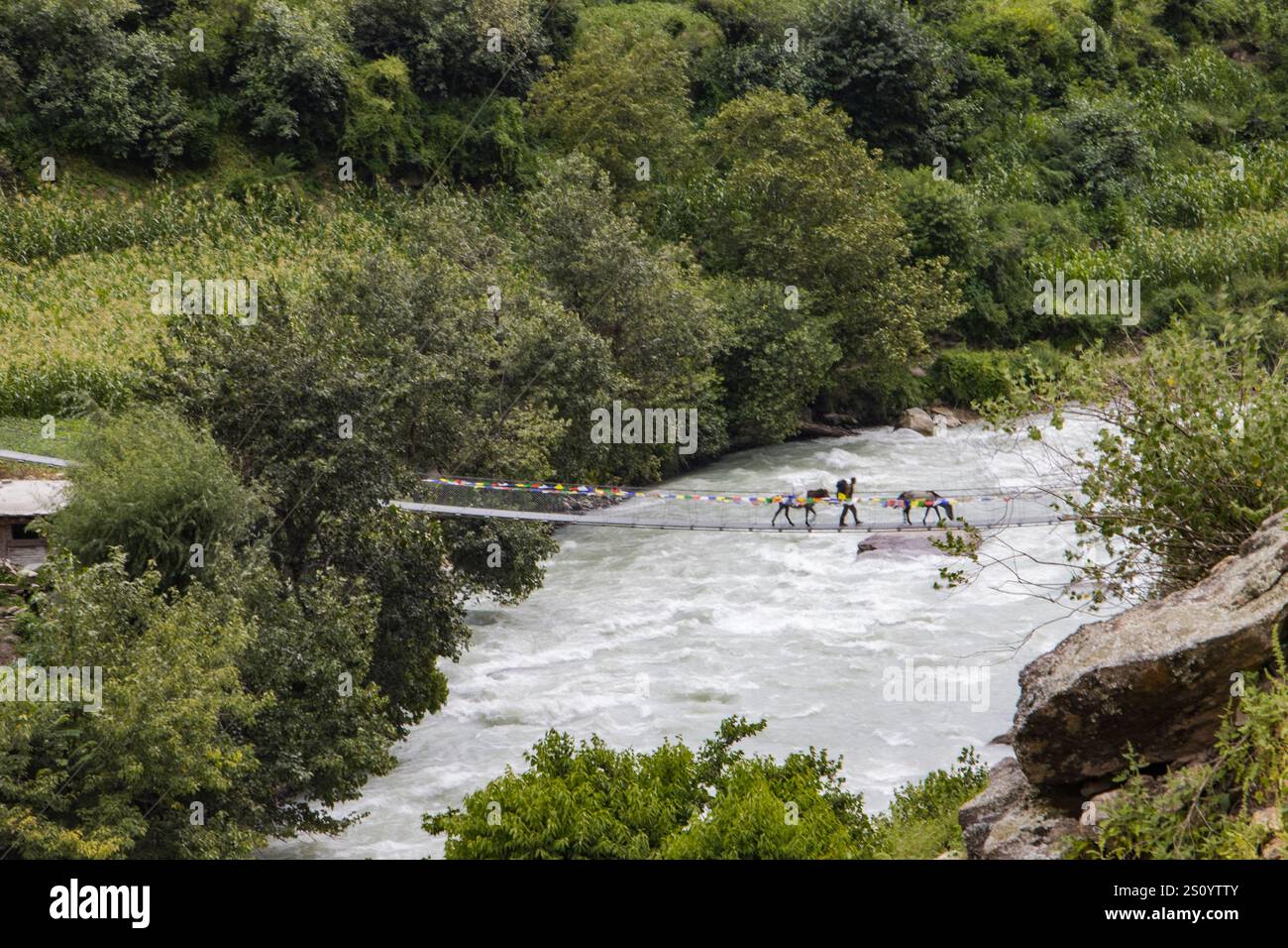 Suspension bridge over the Bheri River on the way to Chepka from ...