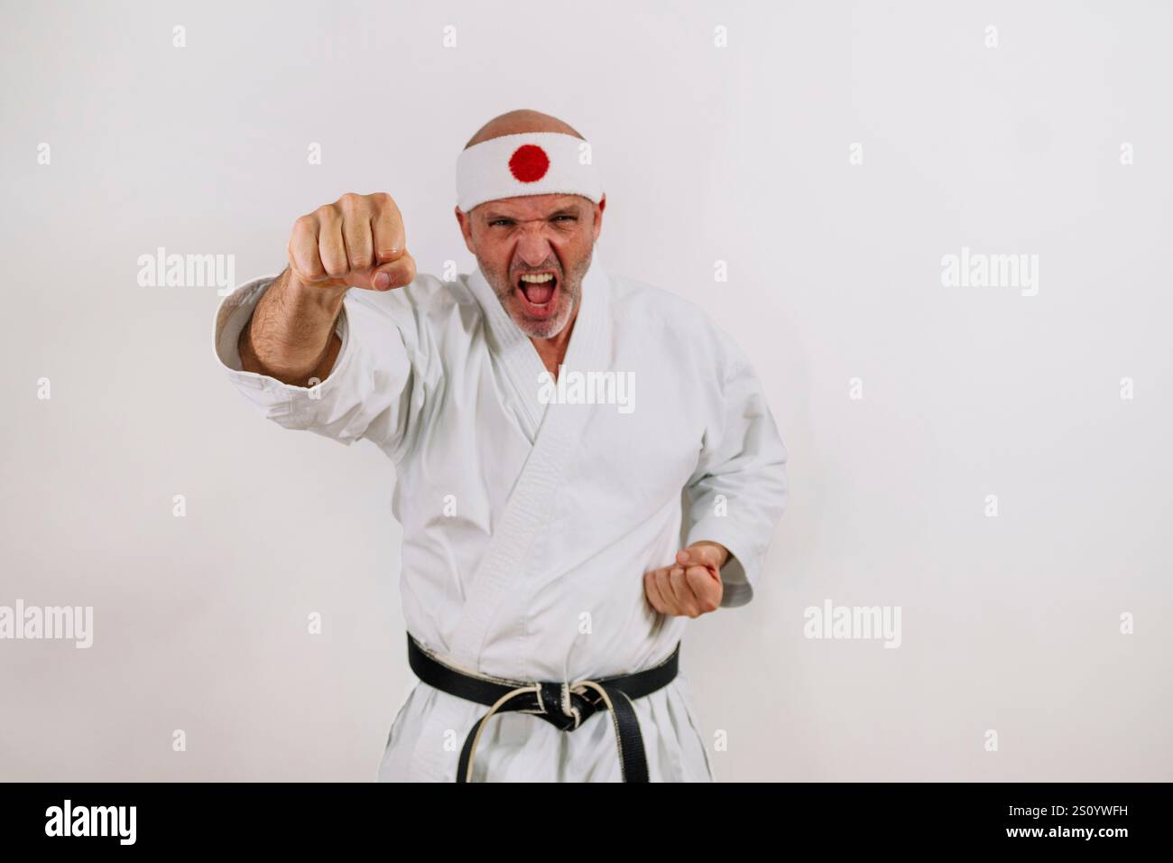 Karate master in attack position Stock Photo - Alamy