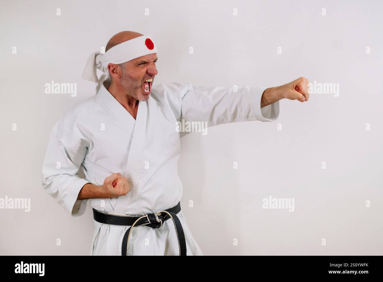Karate master in attack position Stock Photo - Alamy