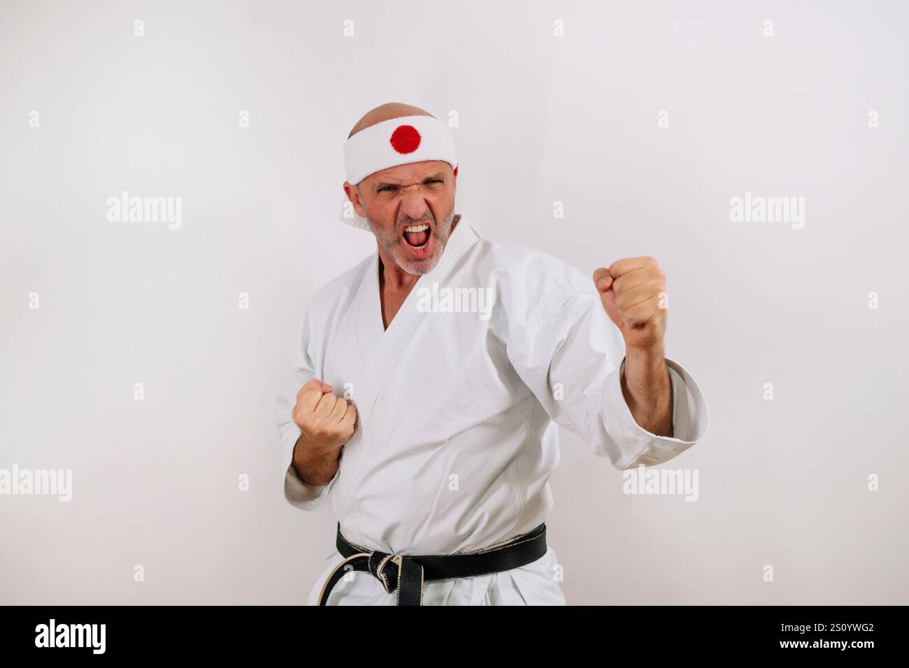 Karate master in attack position Stock Photo - Alamy