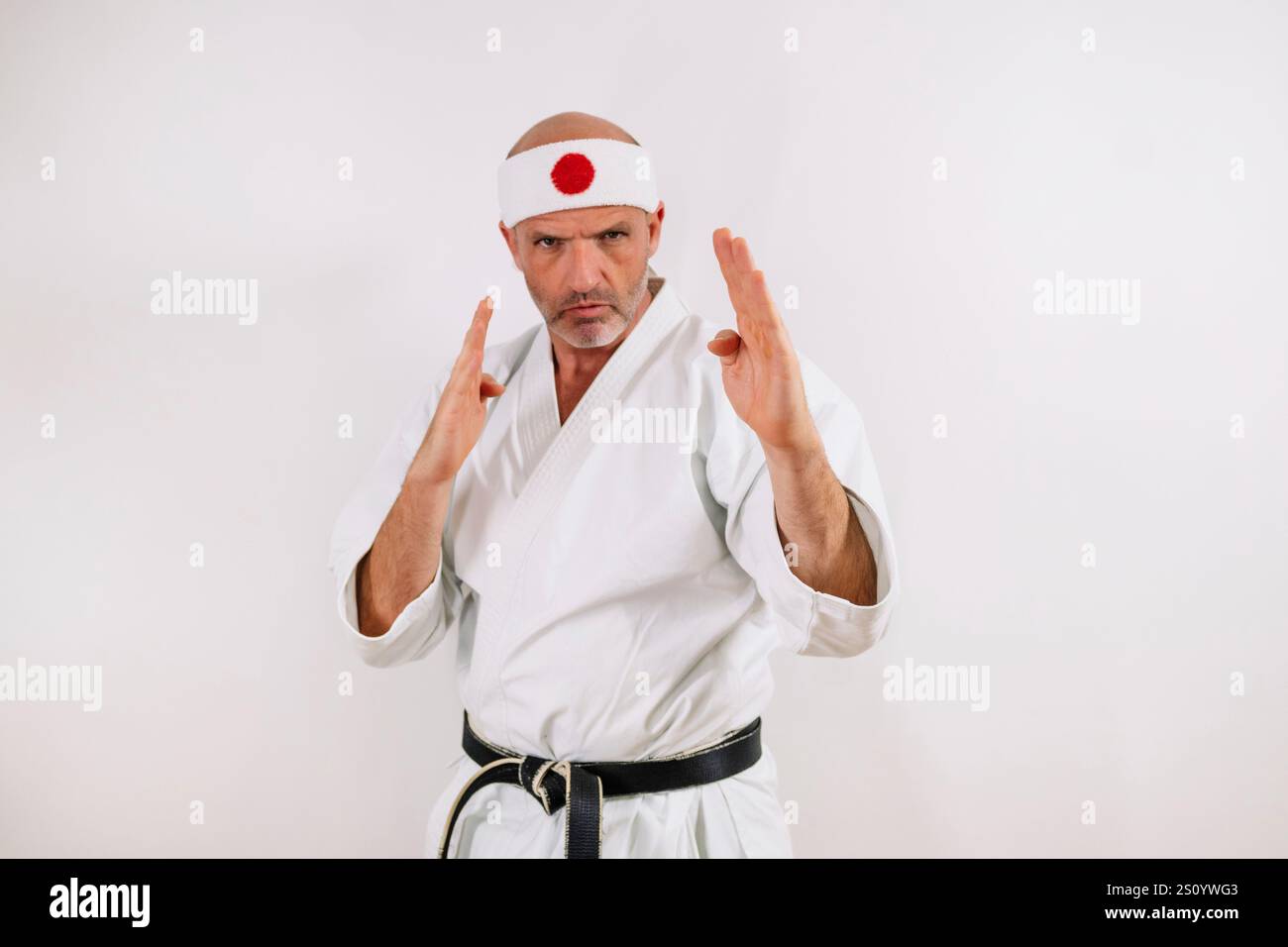 Karate master in defense position Stock Photo - Alamy