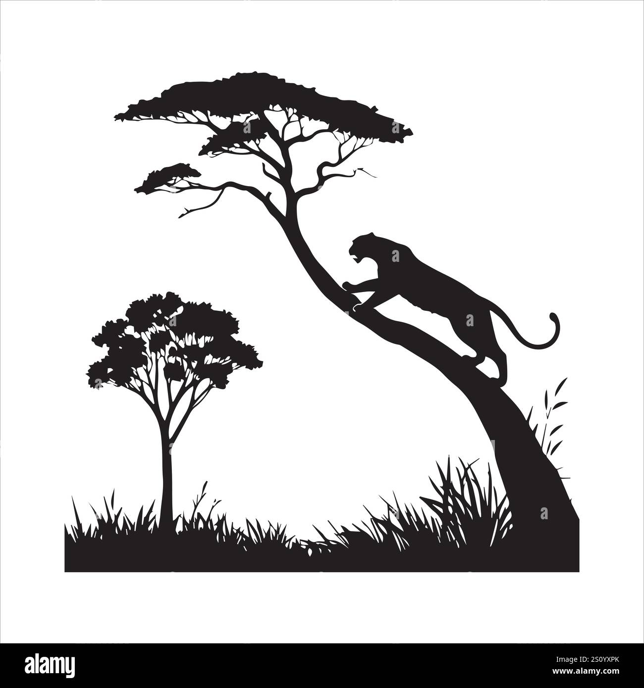 Leopard Silhouettes vector illustrations eps 10 high-quality fully ...