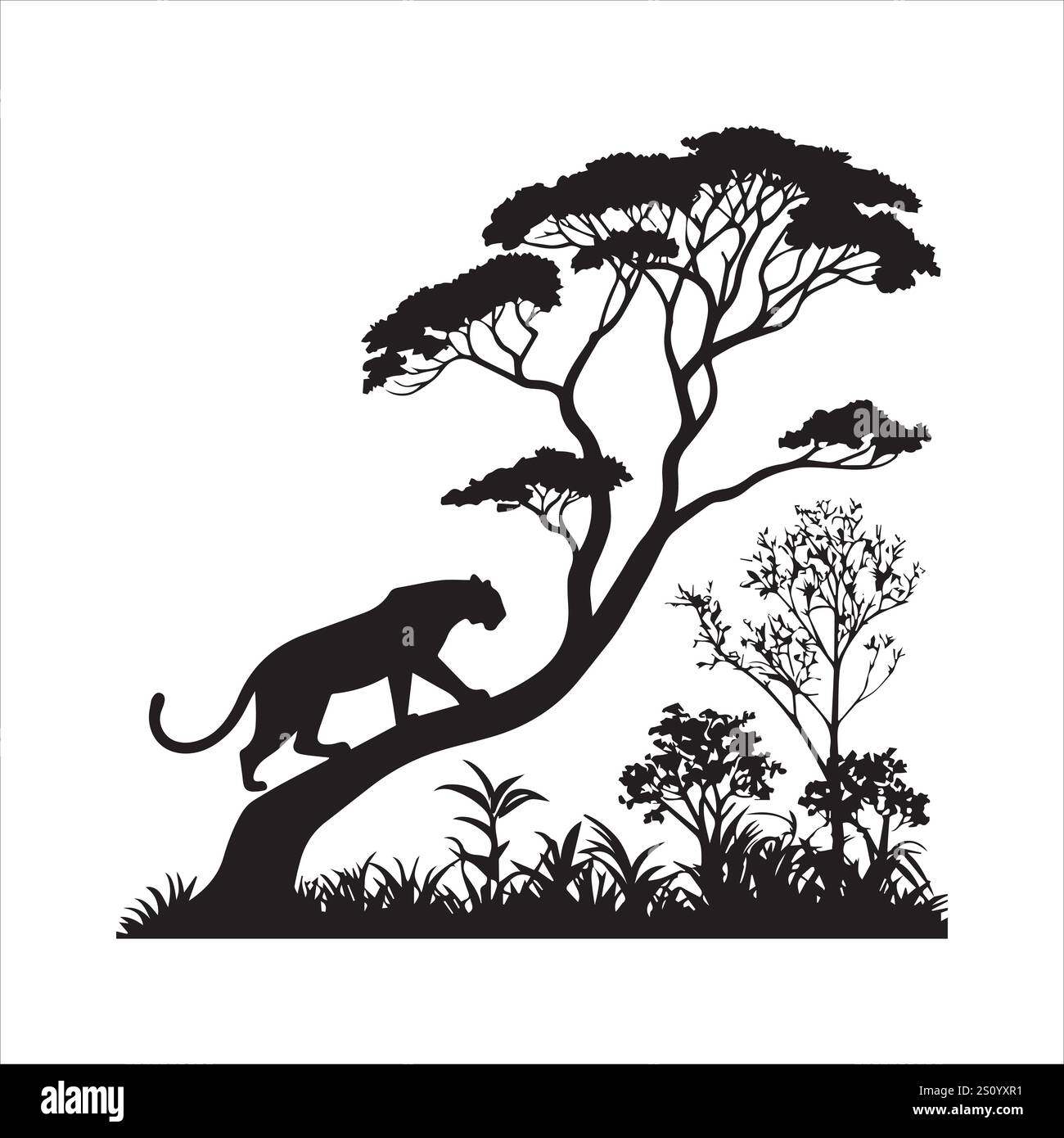 Leopard Silhouettes vector illustrations eps 10 high-quality fully ...
