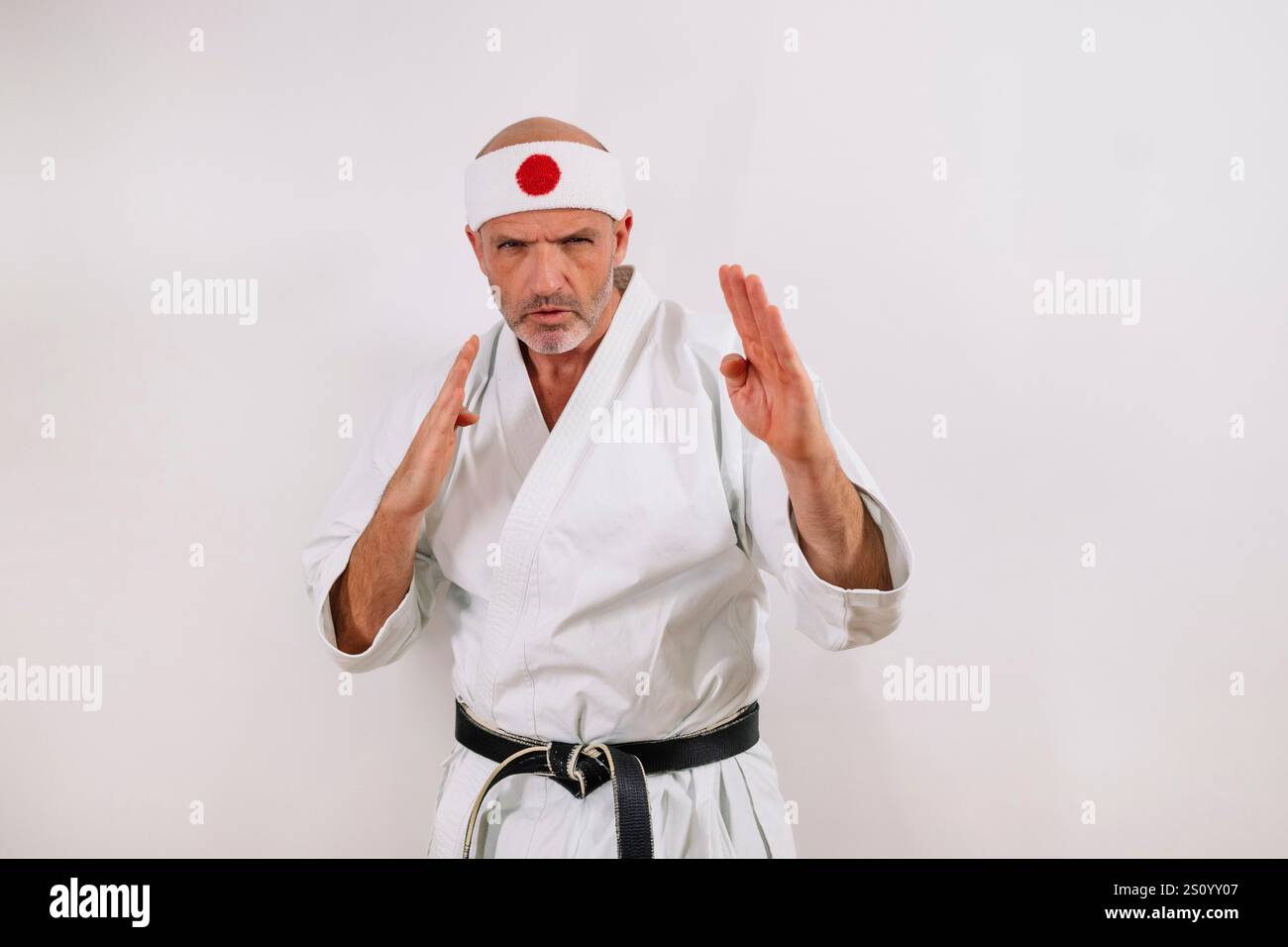 Attack stance hi-res stock photography and images - Alamy