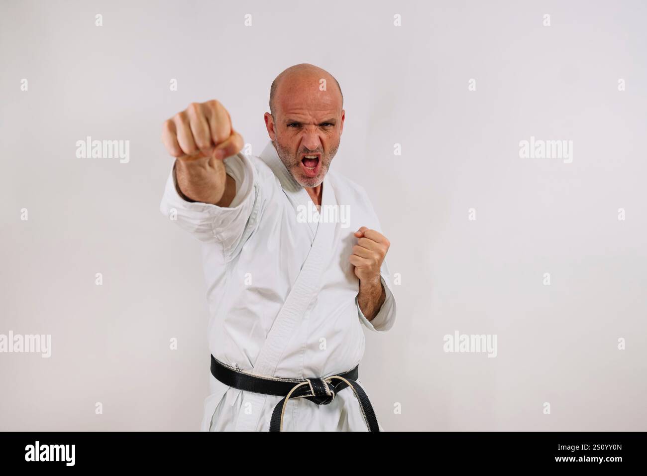 Karate master in attack stance Stock Photo - Alamy