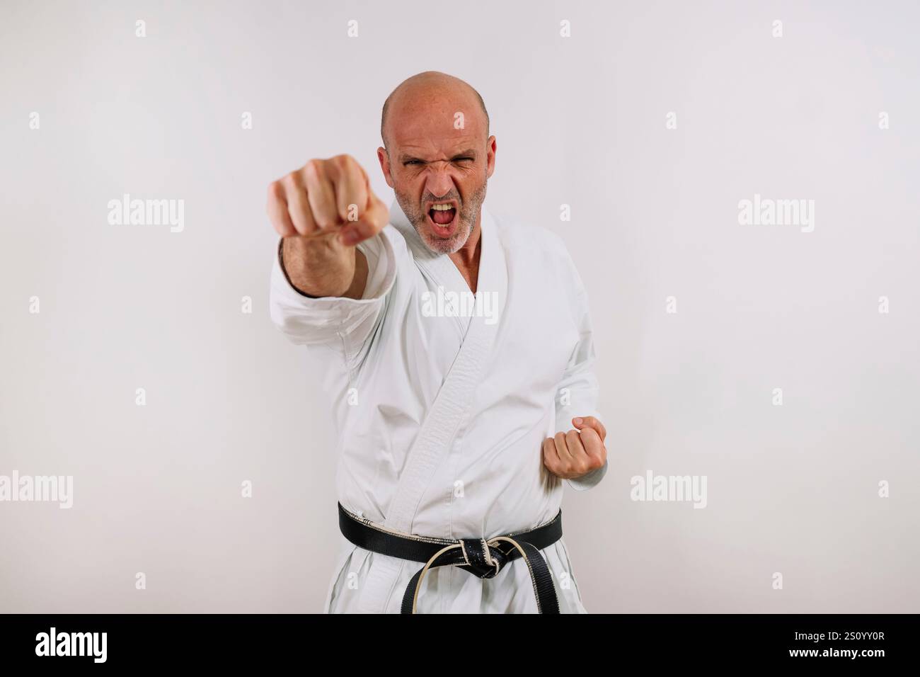 Karate master in attack stance Stock Photo - Alamy