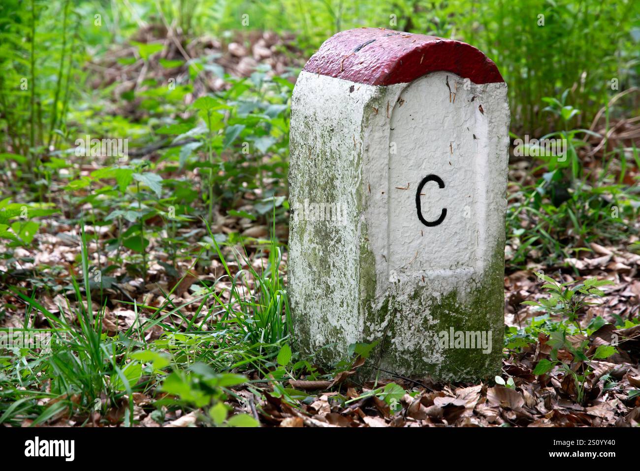 Czech border stone hi-res stock photography and images - Alamy