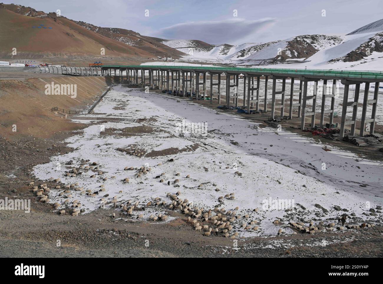 (241230) -- URUMQI, Dec. 30, 2024 (Xinhua) -- A shepherd herds sheep ...