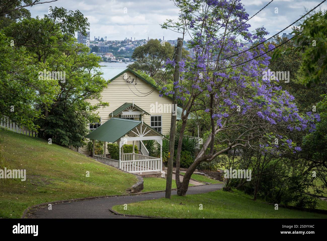 Residential house with a jacaranda tree, Mosman suburb, Sydney, NSW ...
