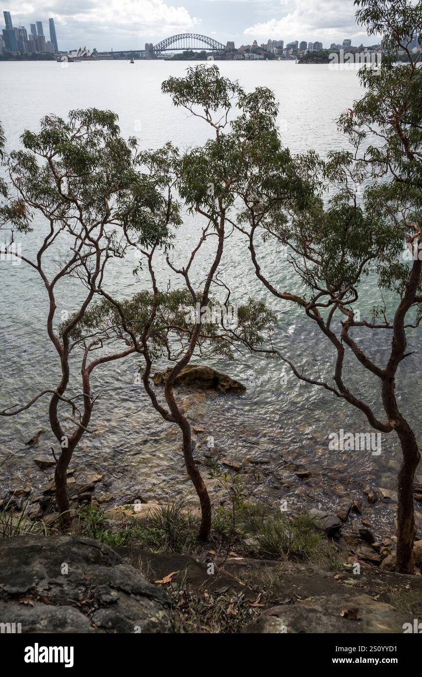 View of Sydney Harbour and Harbour bridge from Bradleys Head to Chowder ...