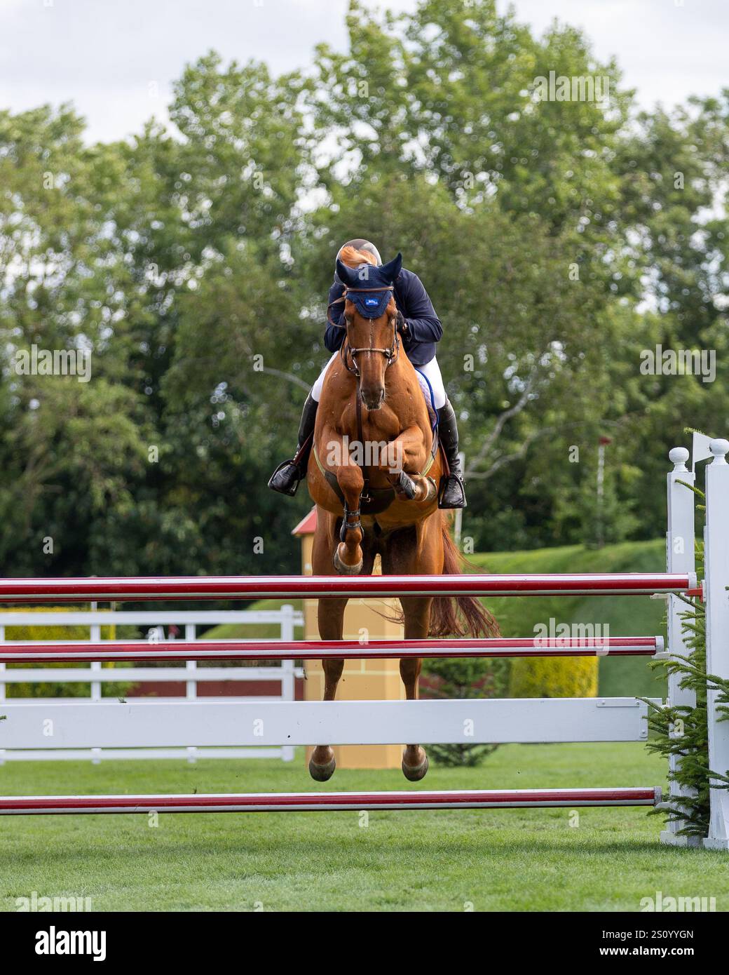 Agria International Horse Show, equestrian show jumping plus hounds ...