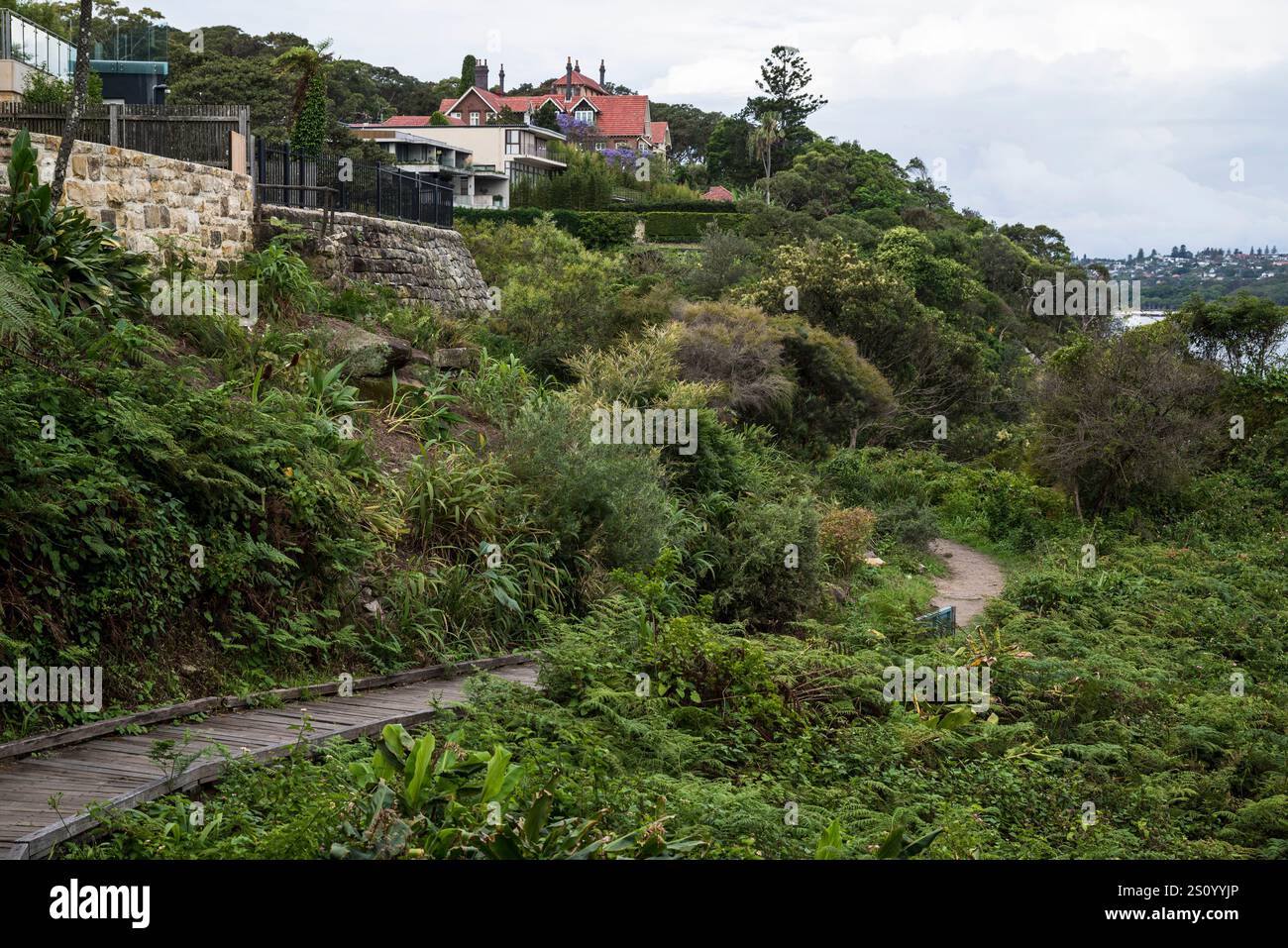 Residential houses on the Bradleys Head to Chowder Bay Trail, Sydney ...