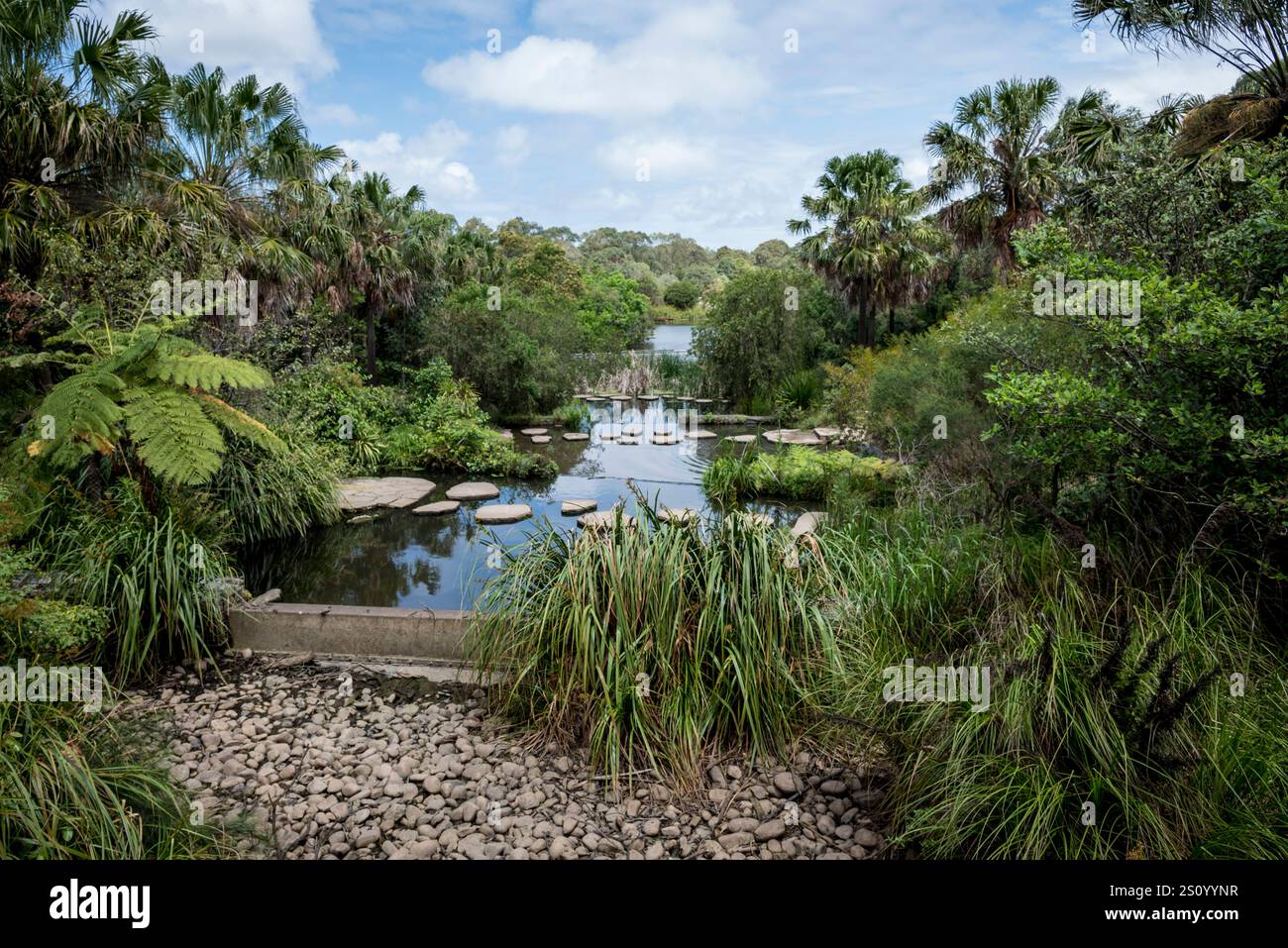Pond with stepping stones, Sydney Park, a recreational area in the ...
