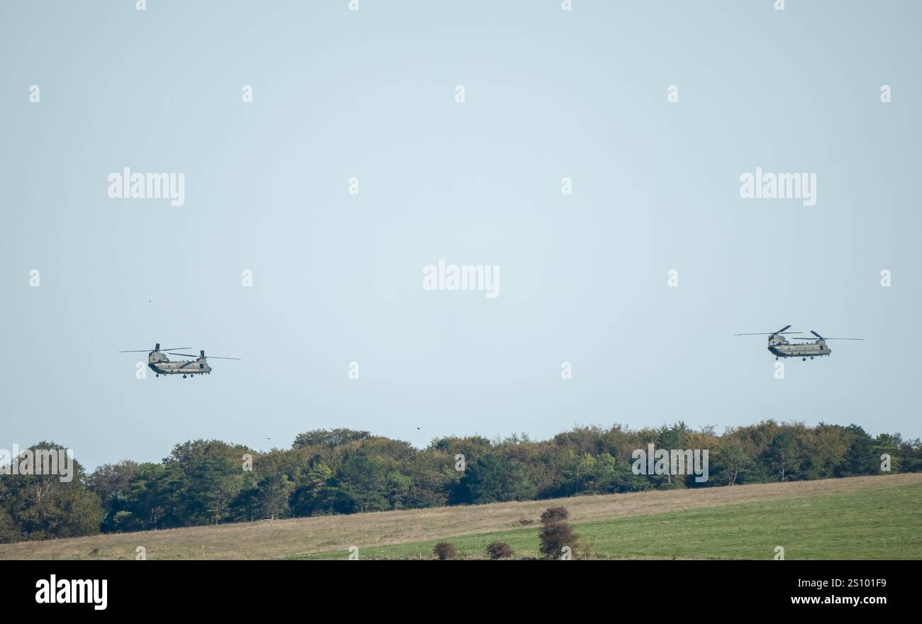 a pair of British army Boeing Chinook CH-47 helicopters in low level ...