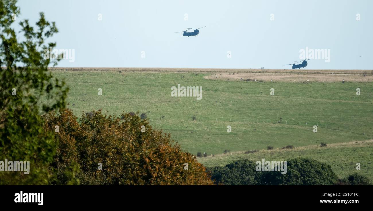 a pair of British army Boeing Chinook CH-47 helicopters in low level ...