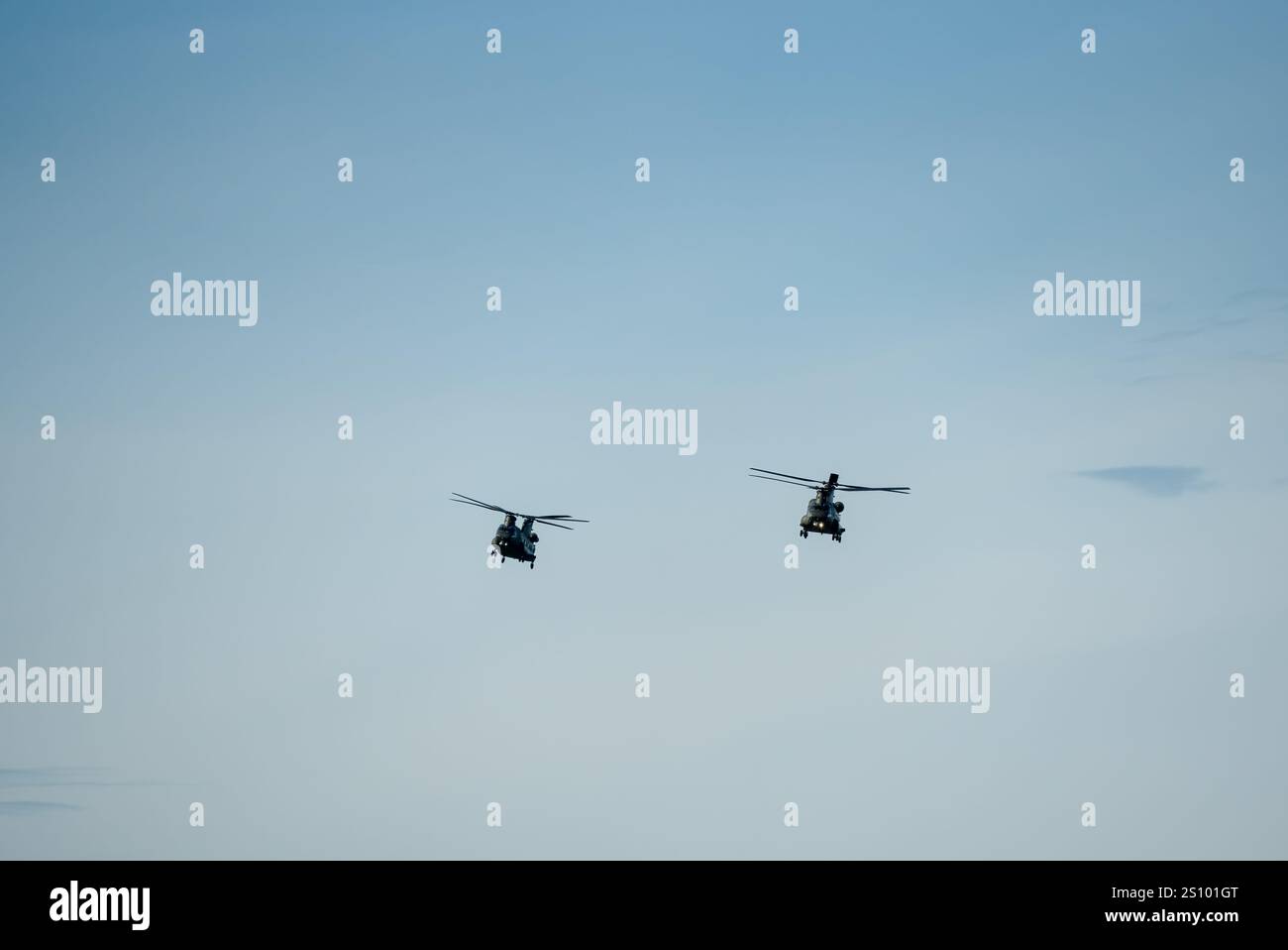 a pair of British army Boeing Chinook CH-47 helicopters in low level ...