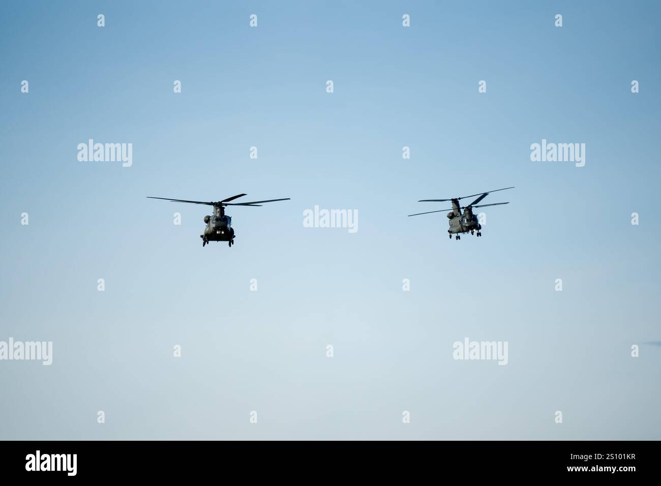 a pair of British army Boeing Chinook CH-47 helicopters in low level ...