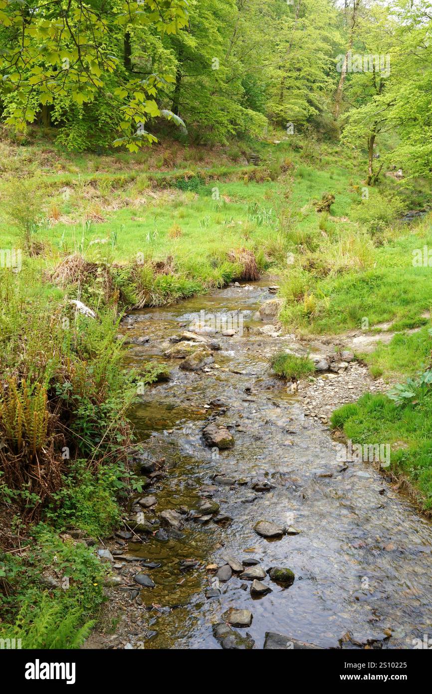 Exmmor national park hi-res stock photography and images - Alamy