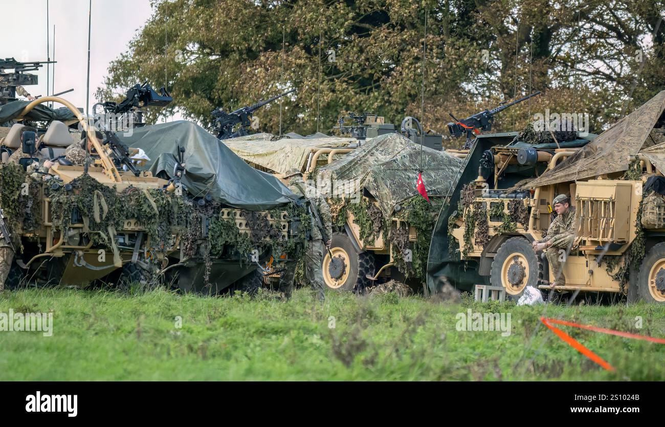 a division of British army cavalry and armoured brigades assembled in a ...