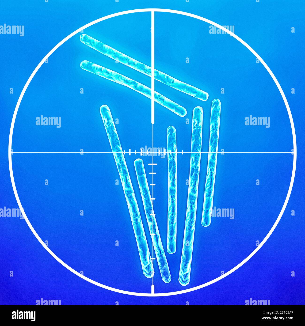 Avian flu, mutated virus, avian influenza virus, microscopic view of ...
