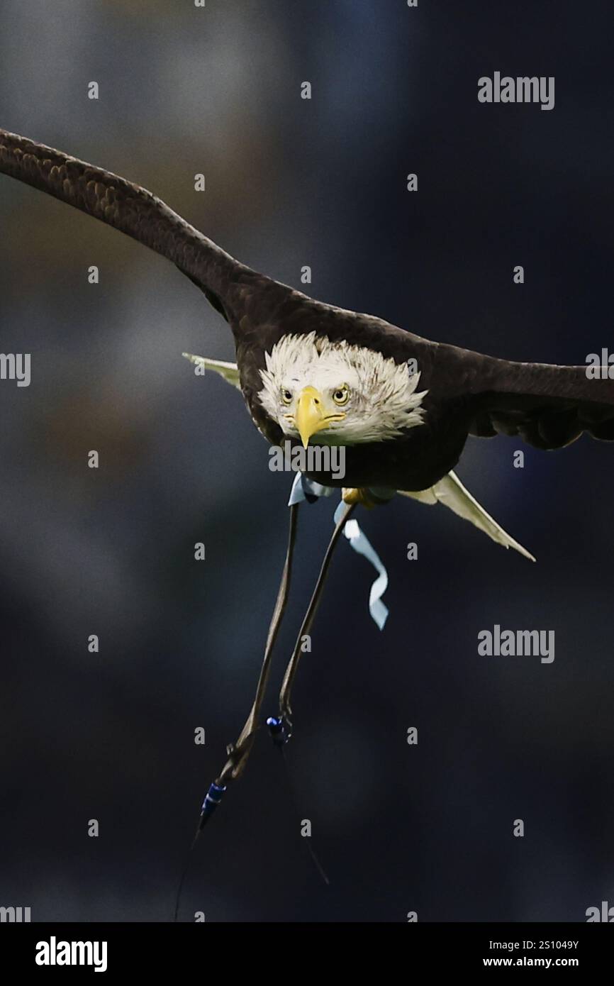 Rome, Italy. 28th Dec, 2024. Mascotte of the SS Lazio Eagle Olimpia ...
