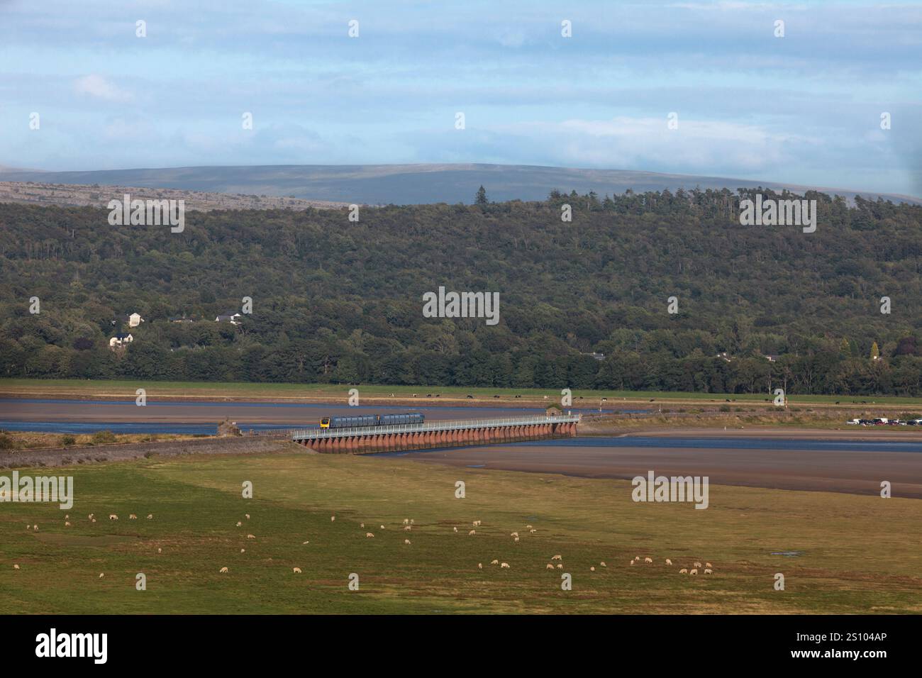Northern Rail class CAF 195 trains crossing the Kent viaduct at Arnside ...