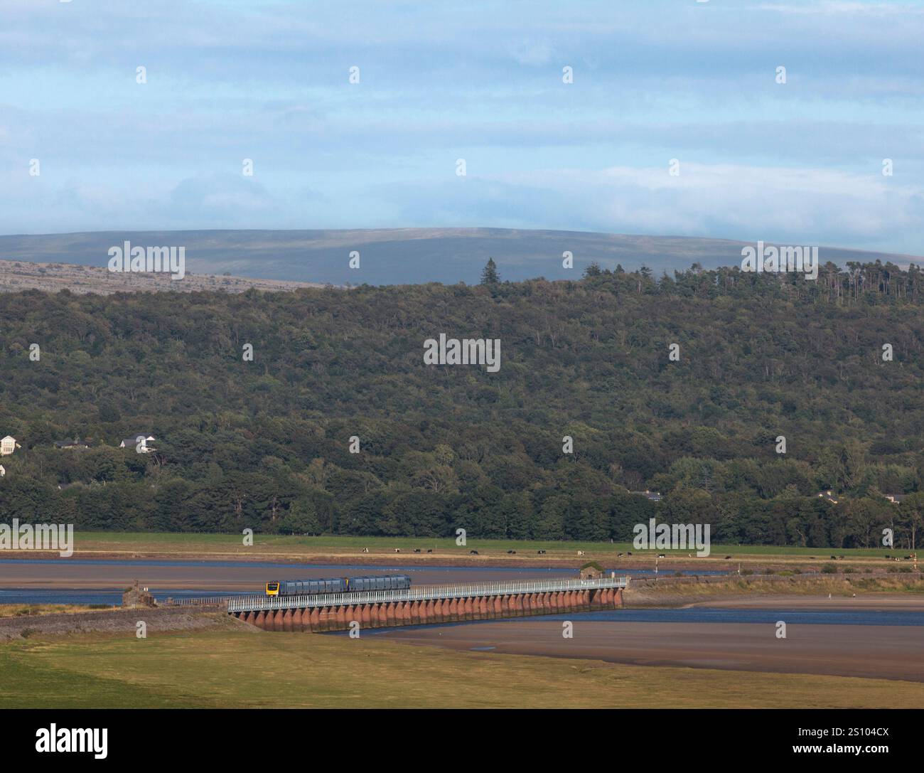 Northern Rail class CAF 195 trains crossing the Kent viaduct at Arnside ...