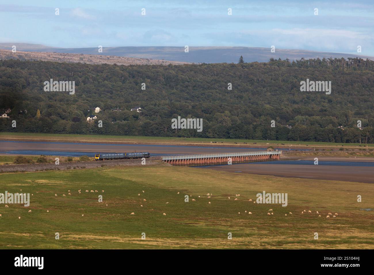 Northern Rail class CAF 195 trains crossing the Kent viaduct at Arnside ...