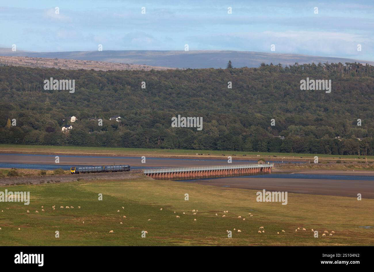 Northern Rail class CAF 195 trains crossing the Kent viaduct at Arnside ...