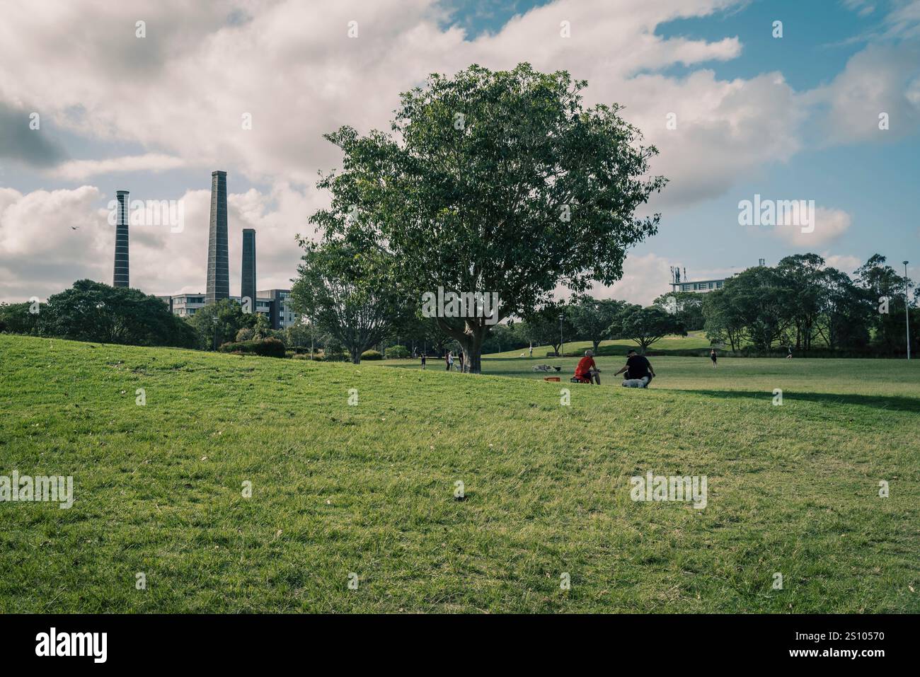 Sydney Park brick kilns and chimneys of a former brick factory, Sydney ...