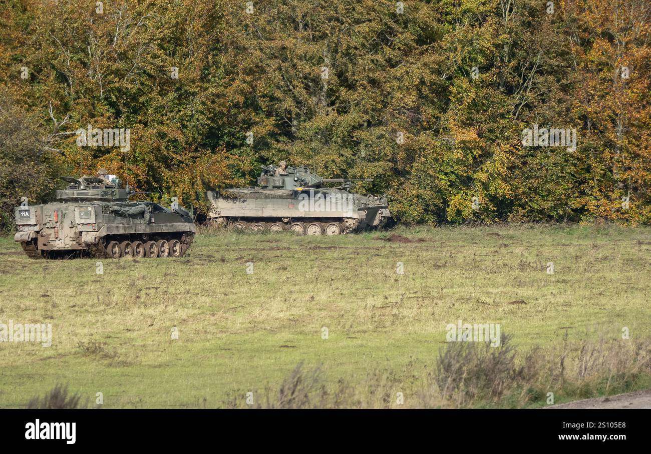 a pair of British army Warrior FV510 Infantry Fighting Vehicles in ...