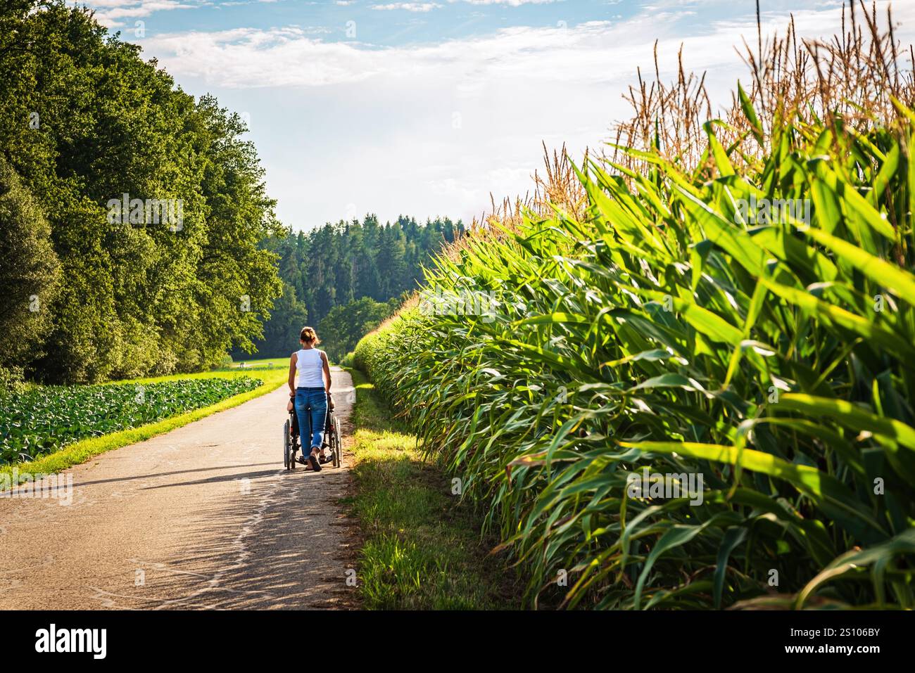Rear view of disabled handicapped woman in wheelchair and care helper ...