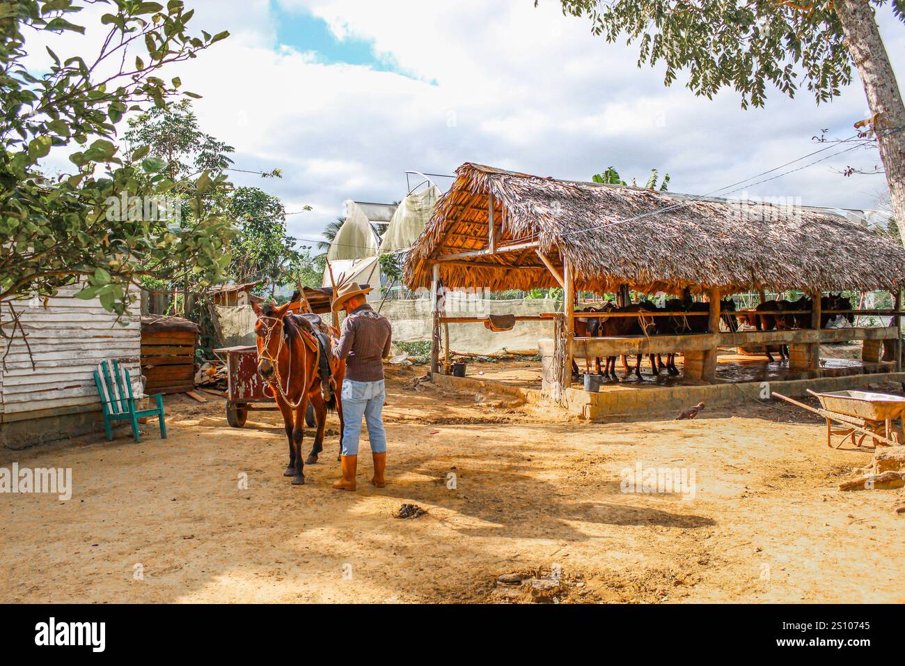 Rustic Tranquility: Stables in the Viñales Valley, Cuba Stock Photo - Alamy