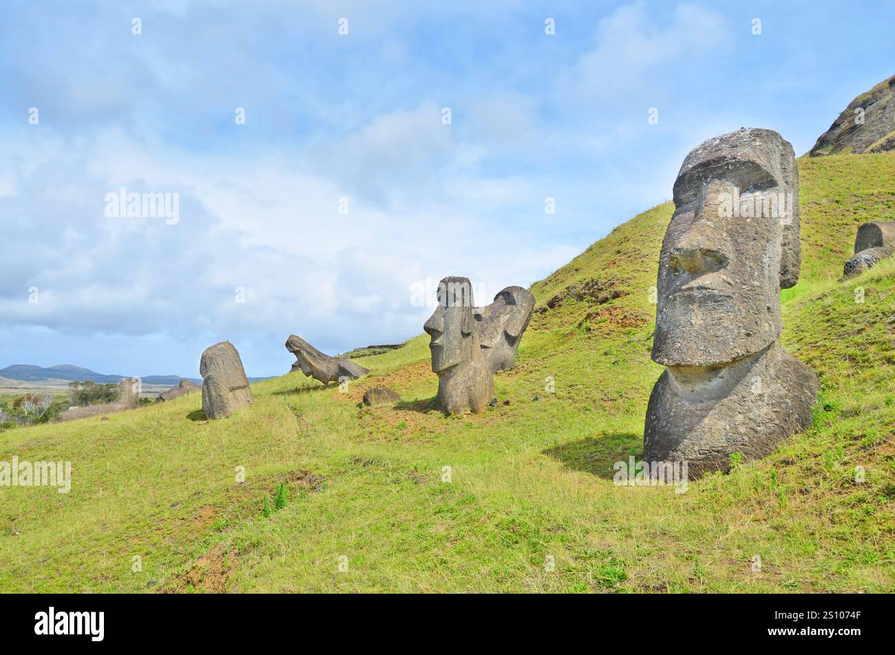 Moai statues abandoned on the slopes of the Rano Raraku volcano on Easter Island Stock Photo - Alamy