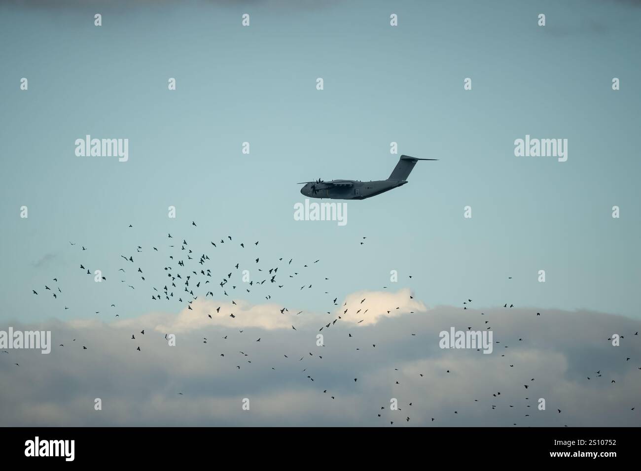 RAF Airbus C.1 A400M Atlas military transport aircraft in flight on a ...
