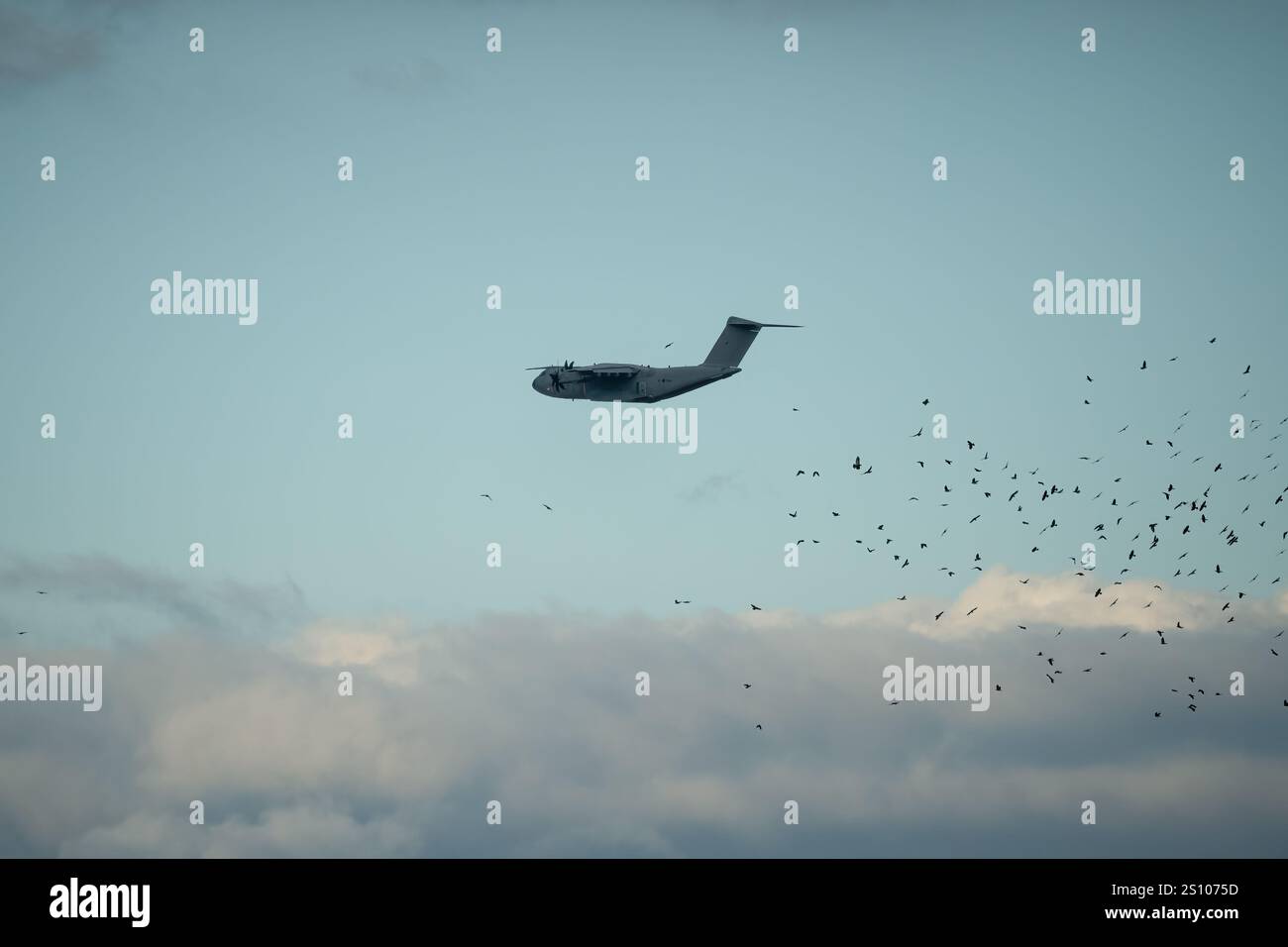 RAF Airbus C.1 A400M Atlas military transport aircraft in flight on a ...
