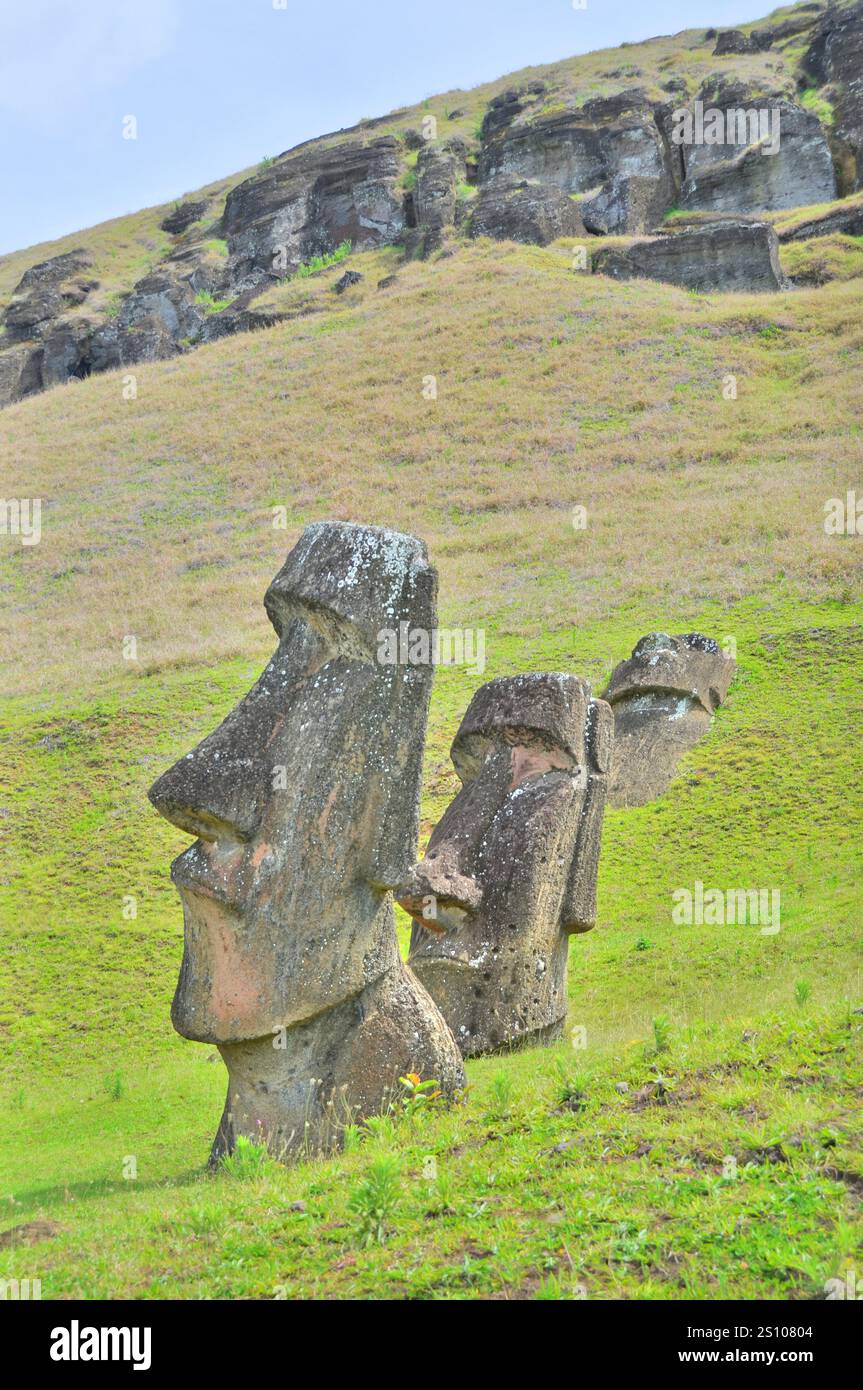 Moai statues abandoned on the slopes of the Rano Raraku volcano on Easter Island Stock Photo - Alamy