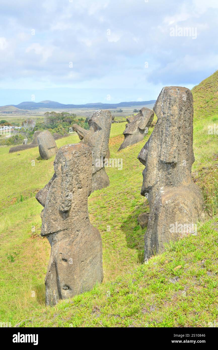 Moai statues abandoned on the slopes of the Rano Raraku volcano on Easter Island Stock Photo - Alamy