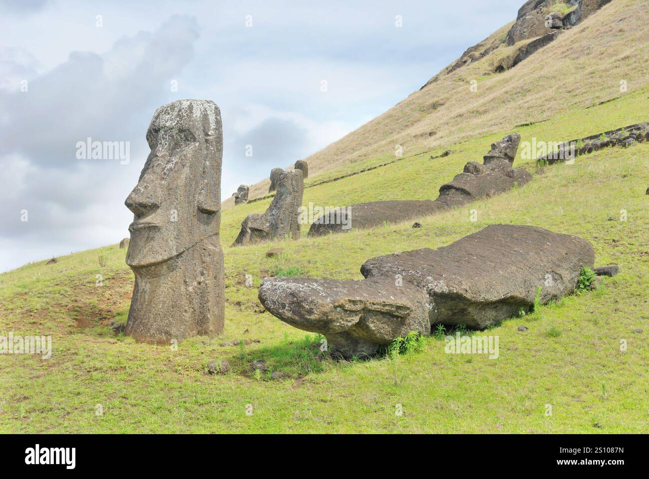 Moai statues abandoned on the slopes of the Rano Raraku volcano on ...