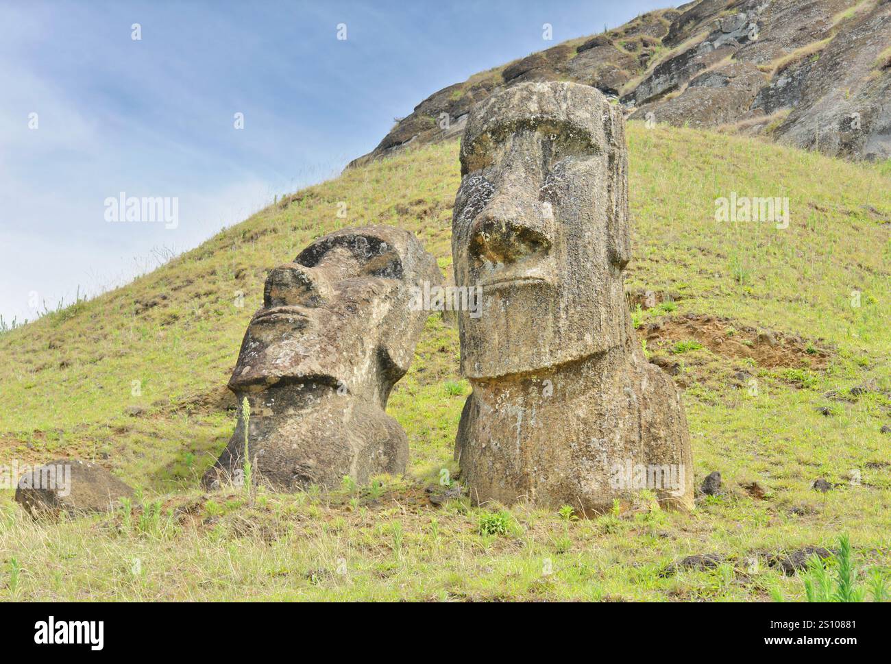 Moai statues abandoned on the slopes of the Rano Raraku volcano on Easter Island Stock Photo - Alamy
