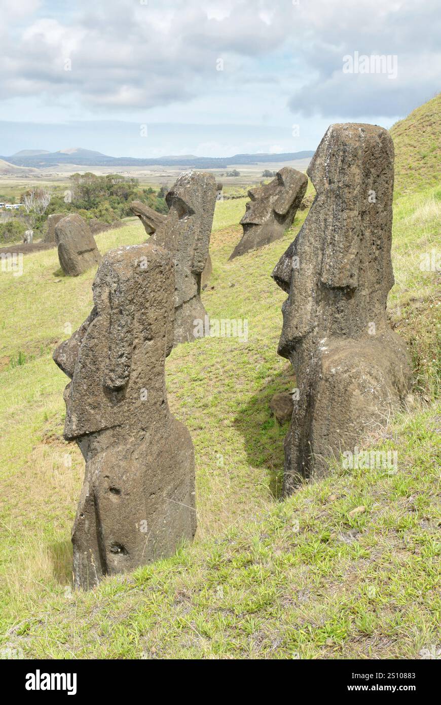 Moai statues abandoned on the slopes of the Rano Raraku volcano on Easter Island Stock Photo - Alamy