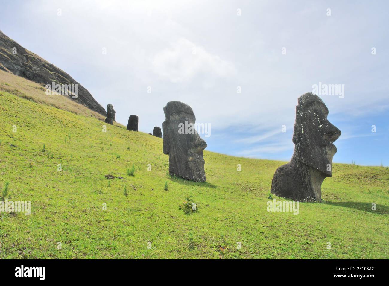 Moai statues abandoned on the slopes of the Rano Raraku volcano on ...