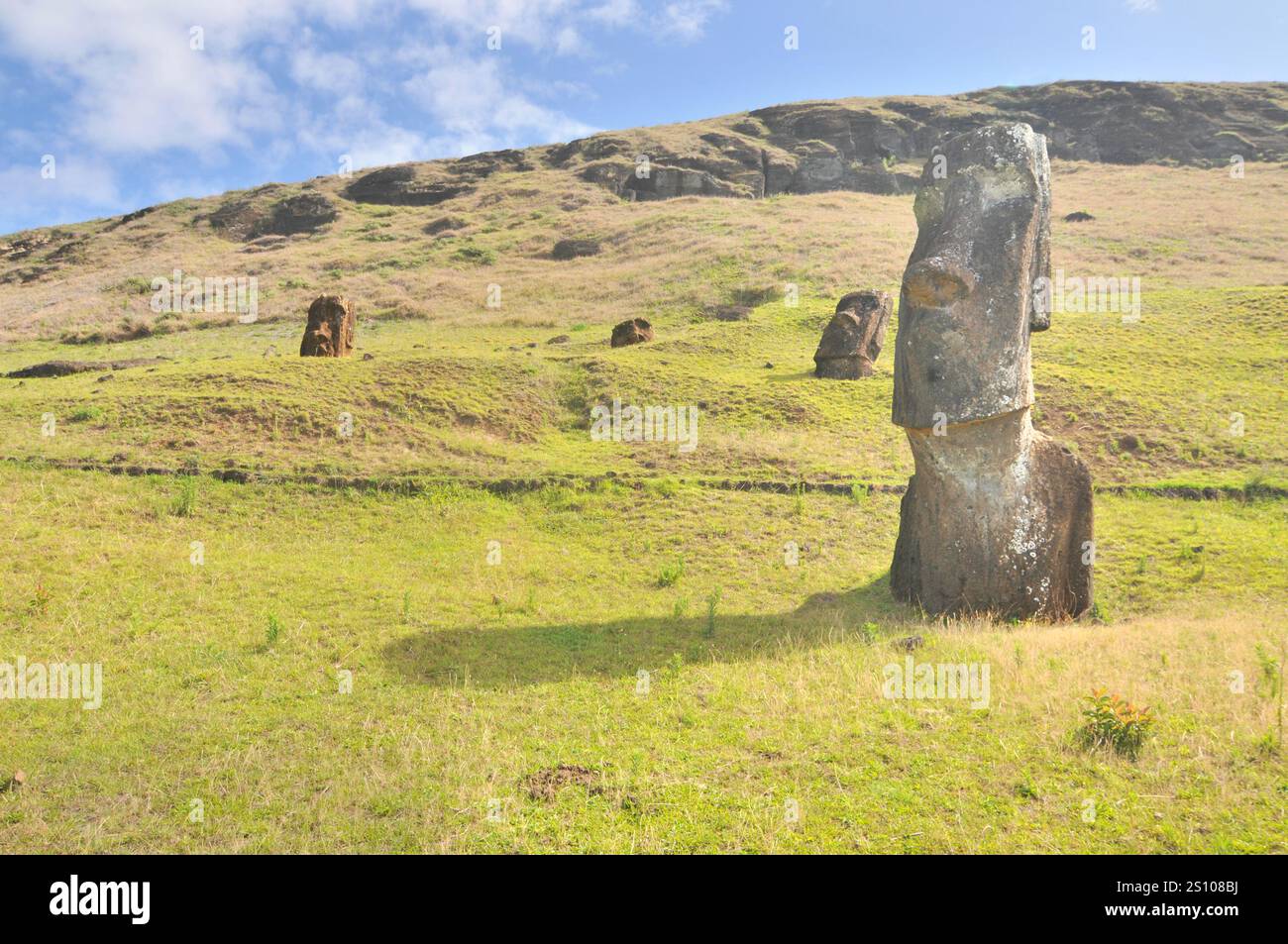 Moai statues abandoned on the slopes of the Rano Raraku volcano on ...