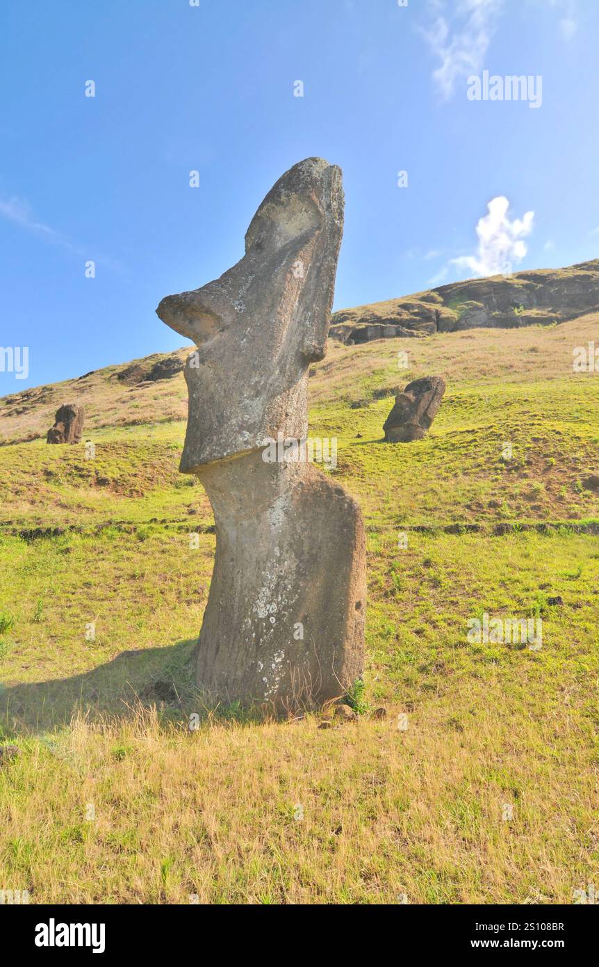 Moai statues abandoned on the slopes of the Rano Raraku volcano on ...