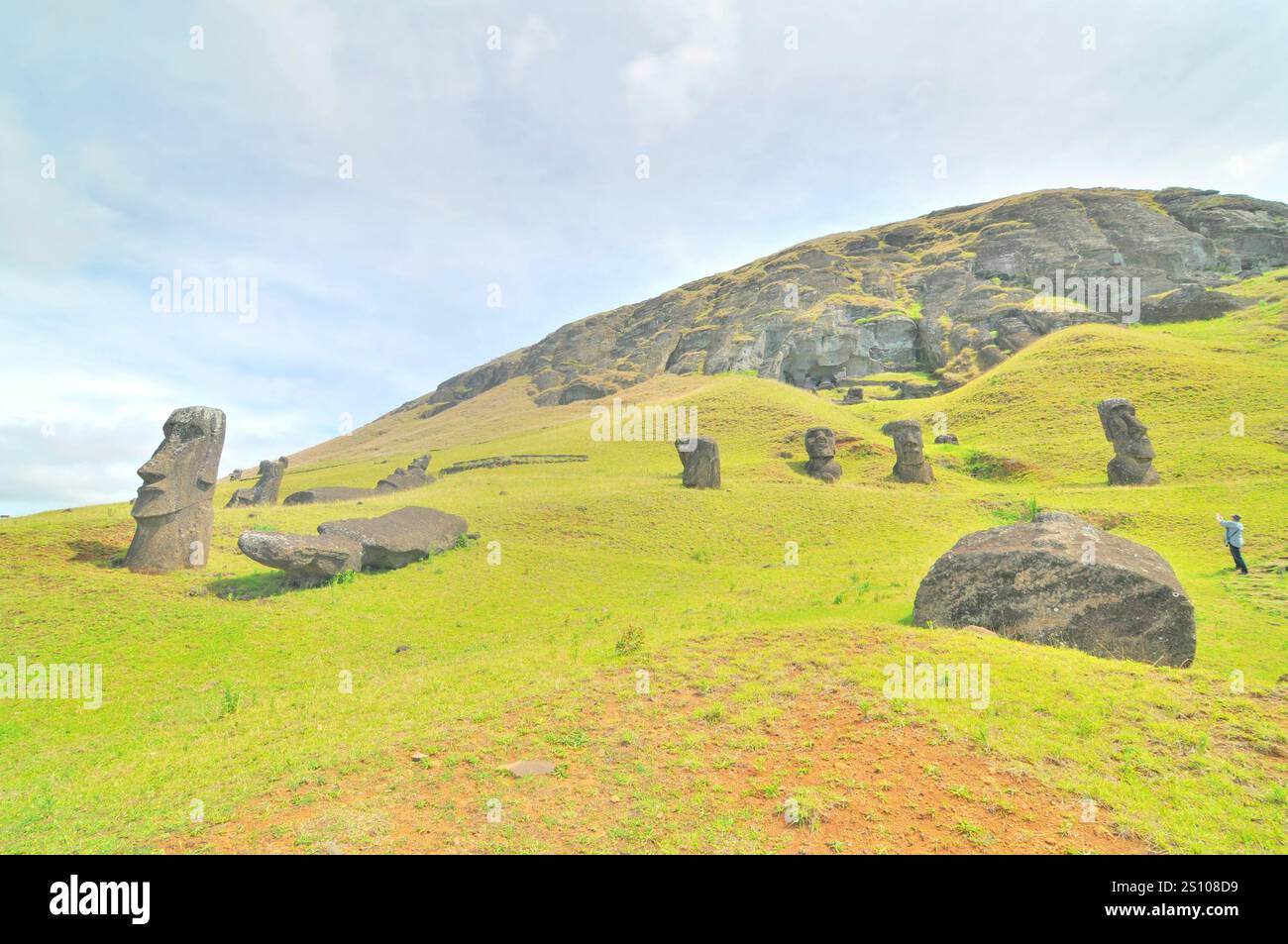 Moai statues abandoned on the slopes of the Rano Raraku volcano on ...